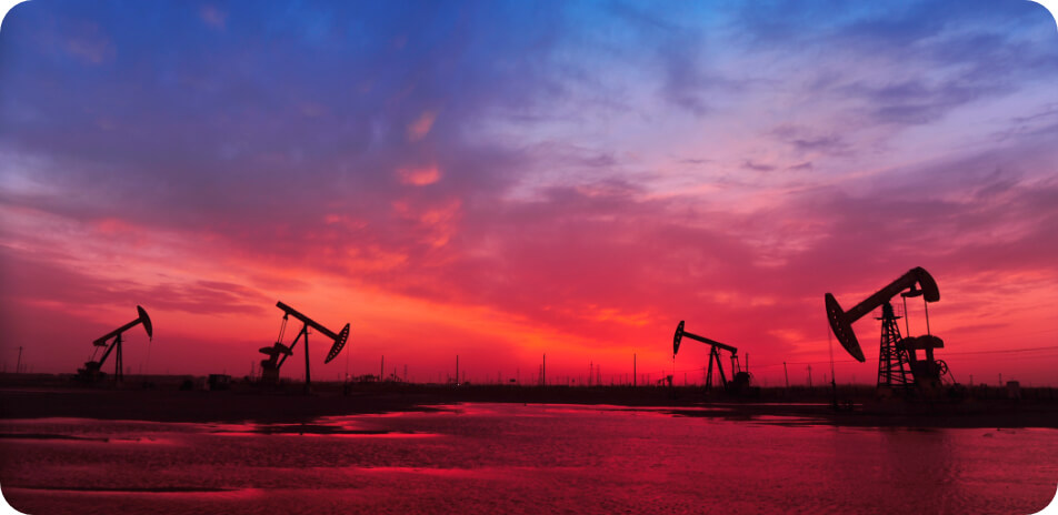 Integrated Asset Evaluation & Field Development Services – PetroVision