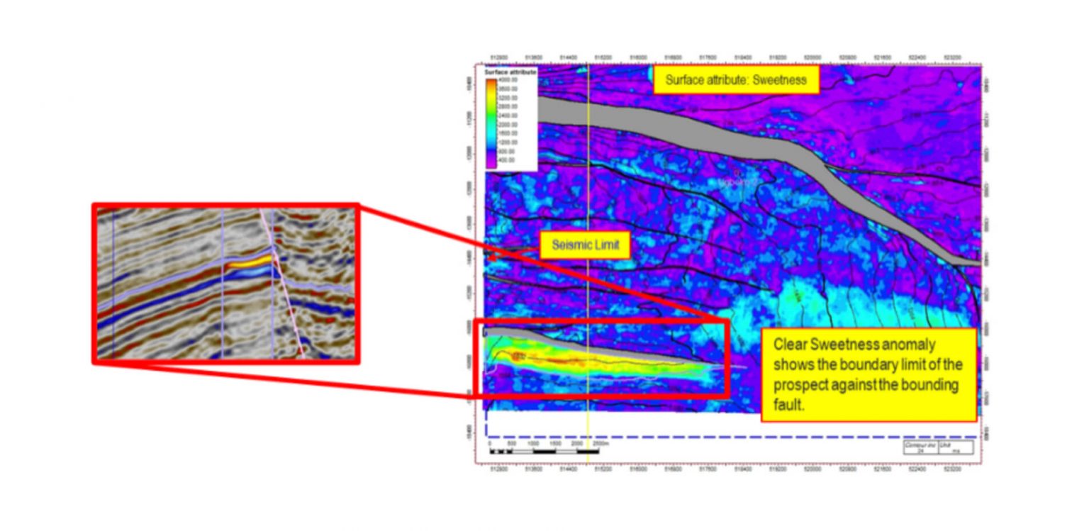 Integrated Asset Evaluation & Field Development Services – PetroVision
